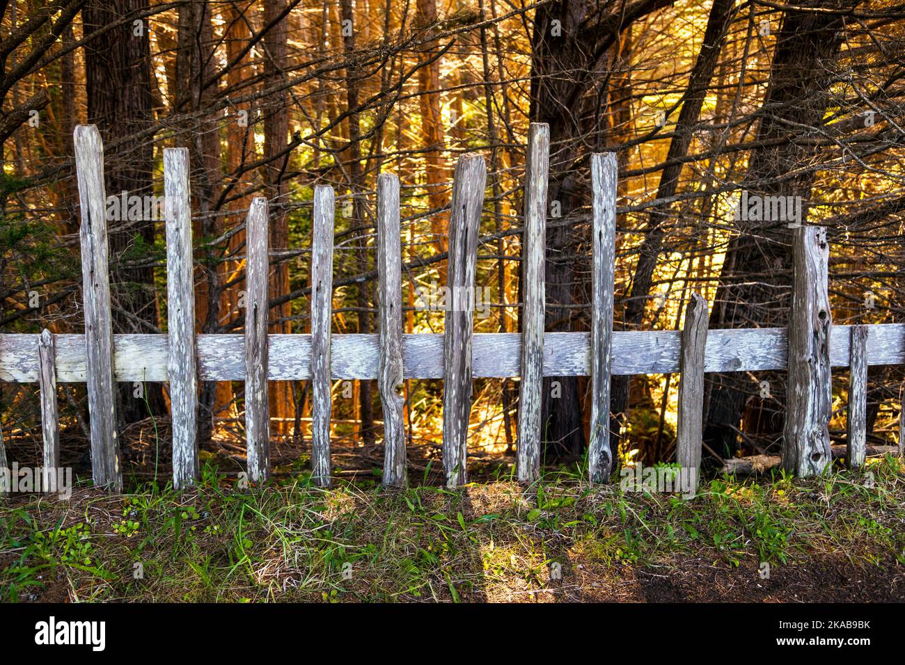 historic fence at Fort Ross State Historic Park Stock Photo - Alamy