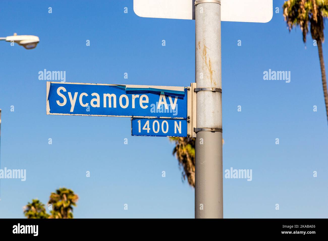 Sycamore av hi-res stock photography and images - Alamy