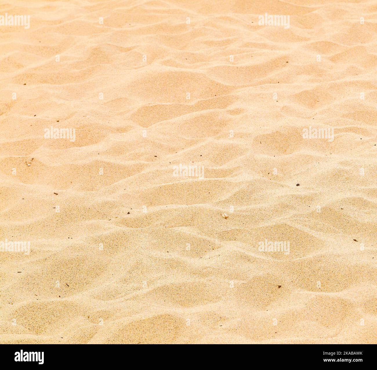 pattern of sandy beach in the morning with footsteps Stock Photo - Alamy