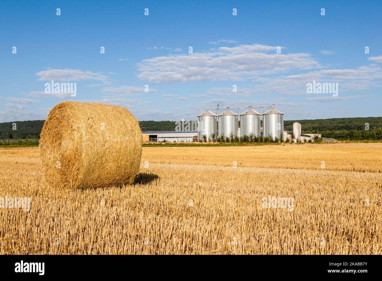 golden corn field in harvest with silo and bale of straw Stock Photo ...