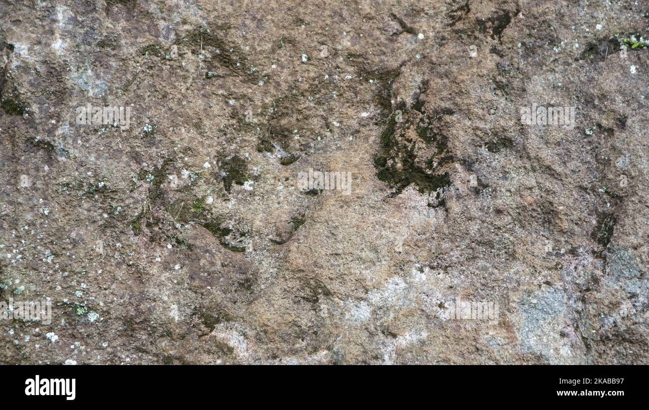 amazing stone texture as background Stock Photo - Alamy