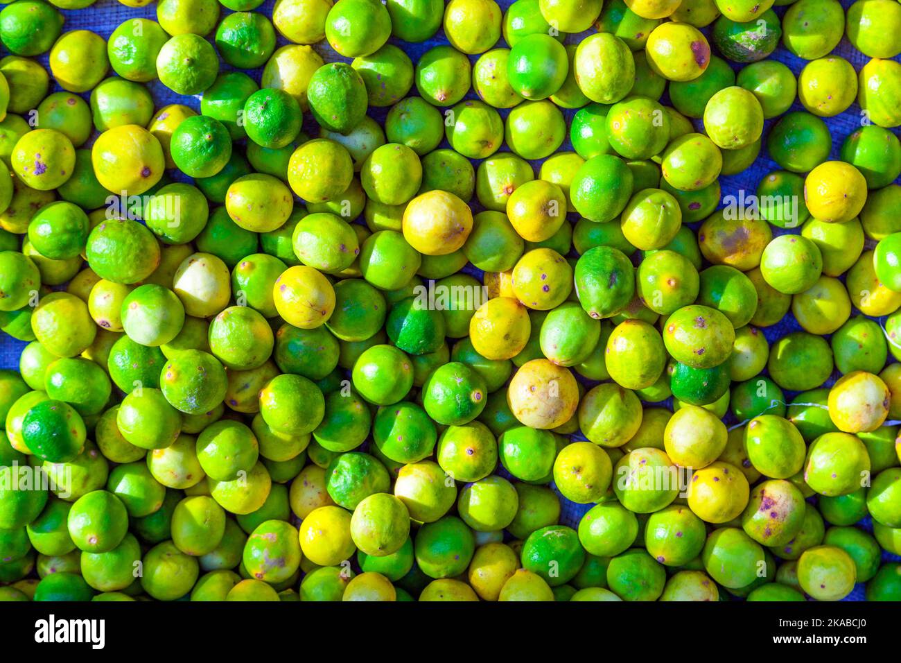 Native green lime fruits in indian market Stock Photo - Alamy