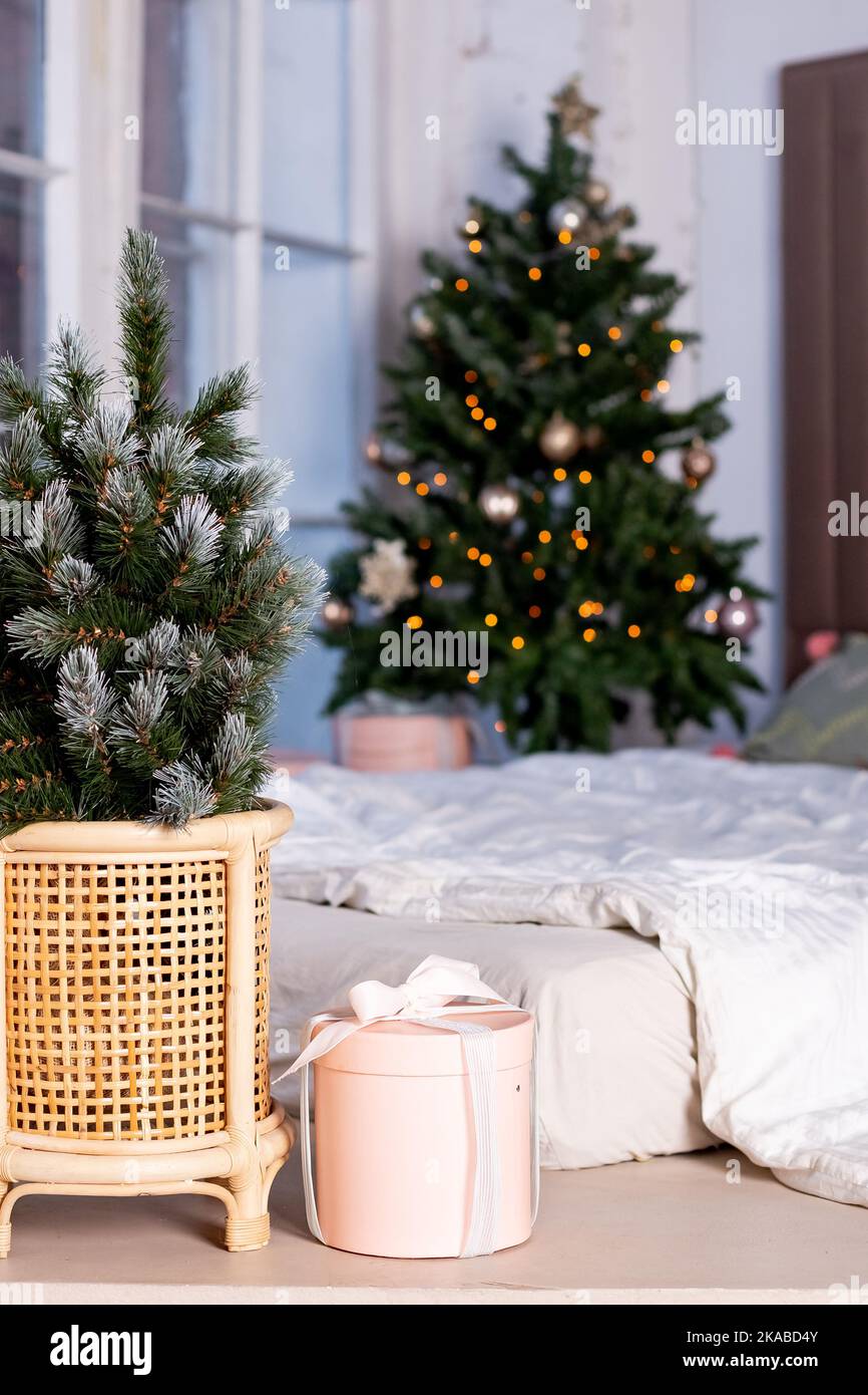 Beautiful Christmas gift boxes on floor near fir tree in room.christmas ...