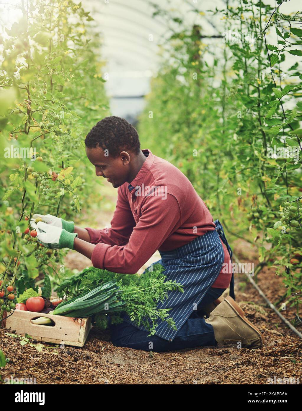 Plant, Grow, and Harvest. Full length shot of a handsome young male ...
