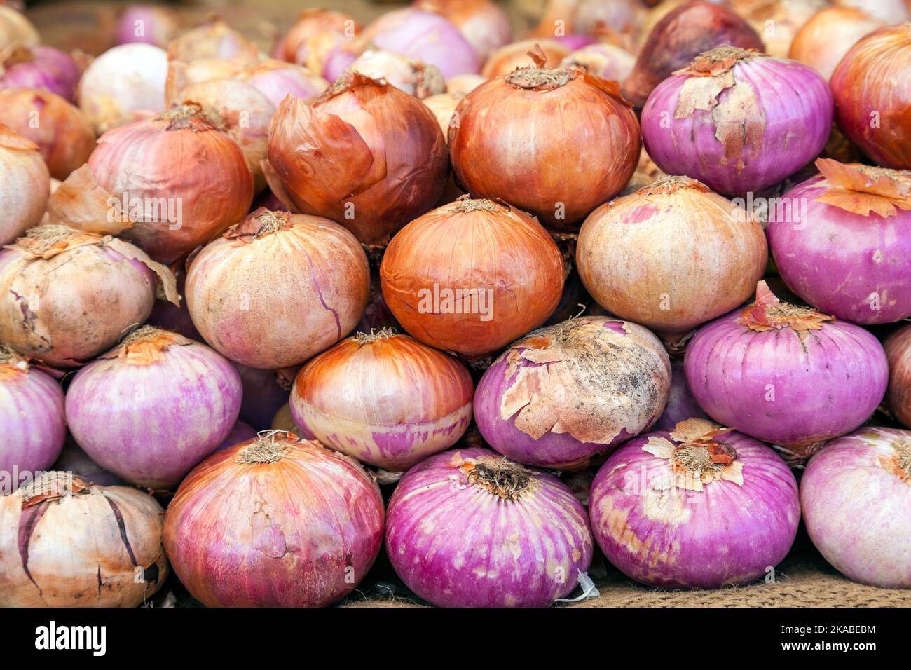fresh red onions at the market Stock Photo - Alamy
