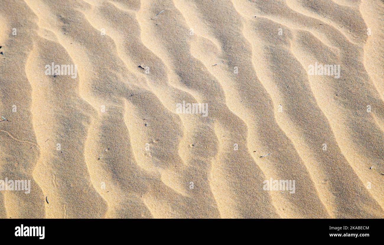 pattern of sand dunes at the beach Stock Photo - Alamy
