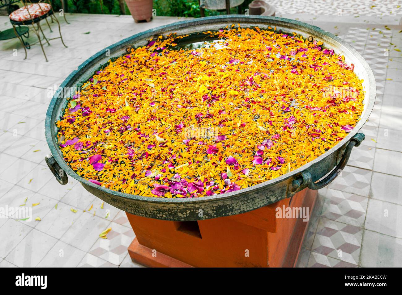 tropical flower buds floating in a basin for harmony Stock Photo - Alamy