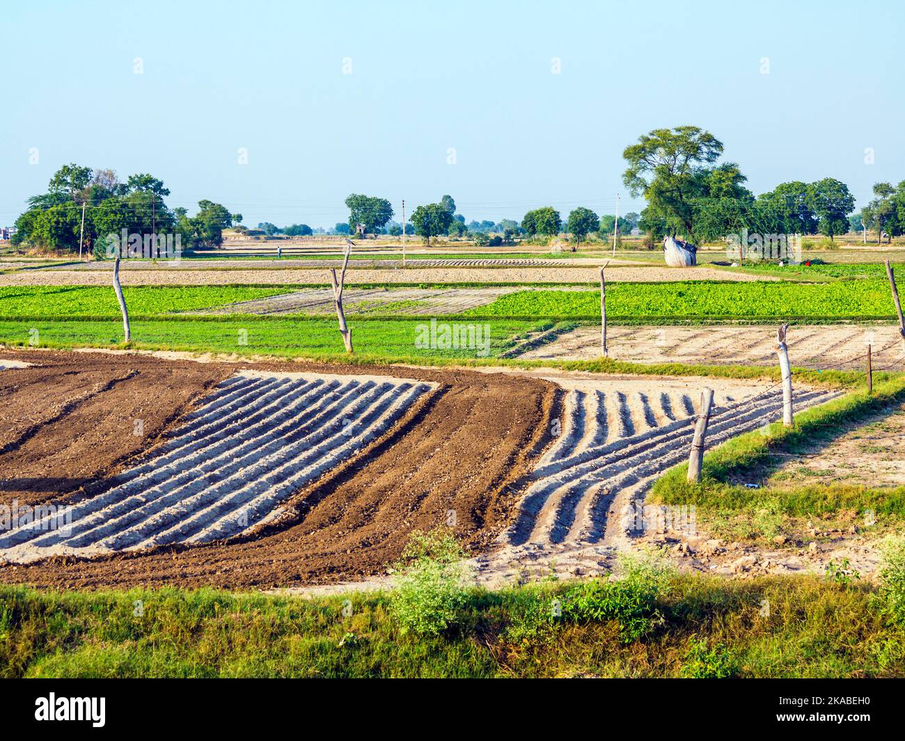 fresh plowed fields in India Stock Photo - Alamy