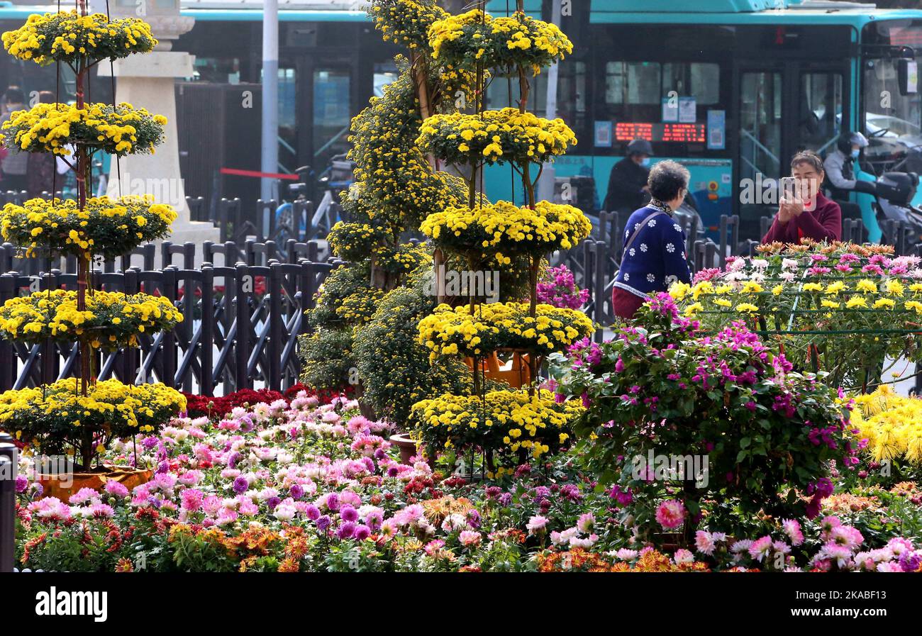 The chrysanthemum exhibition in Xingqinggong Park attracts tourists to ...