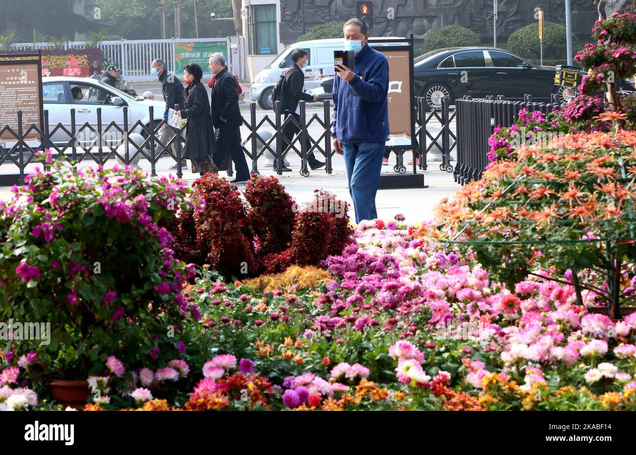 The chrysanthemum exhibition in Xingqinggong Park attracts tourists to ...