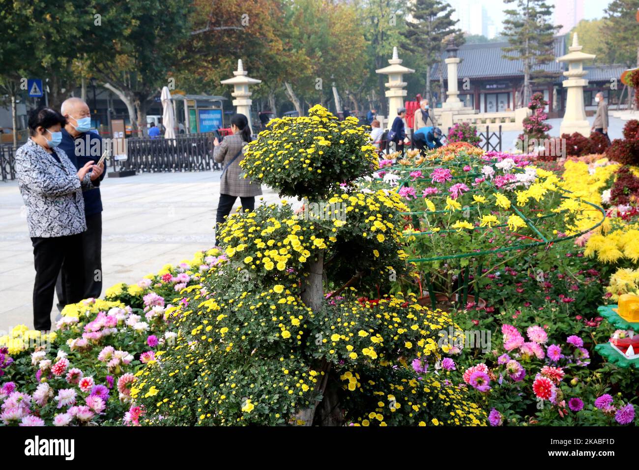 The chrysanthemum exhibition in Xingqinggong Park attracts tourists to ...