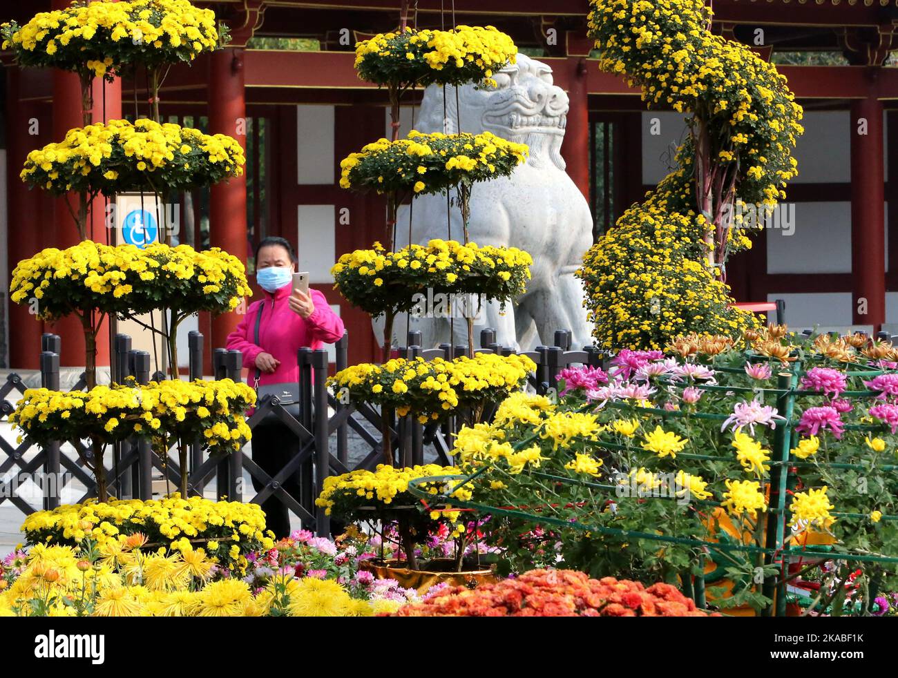 The chrysanthemum exhibition in Xingqinggong Park attracts tourists to ...