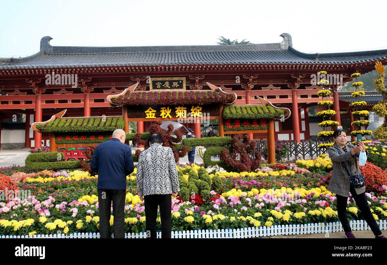 The chrysanthemum exhibition in Xingqinggong Park attracts tourists to ...