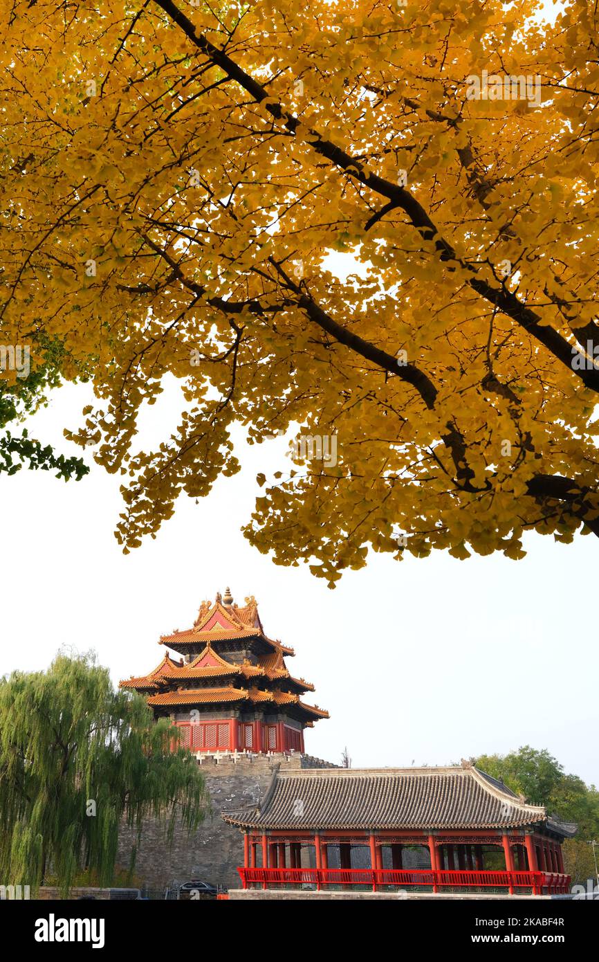 BEIJING, CHINA - NOVEMBER 2, 2022 - The turrets of the Palace Museum in ...