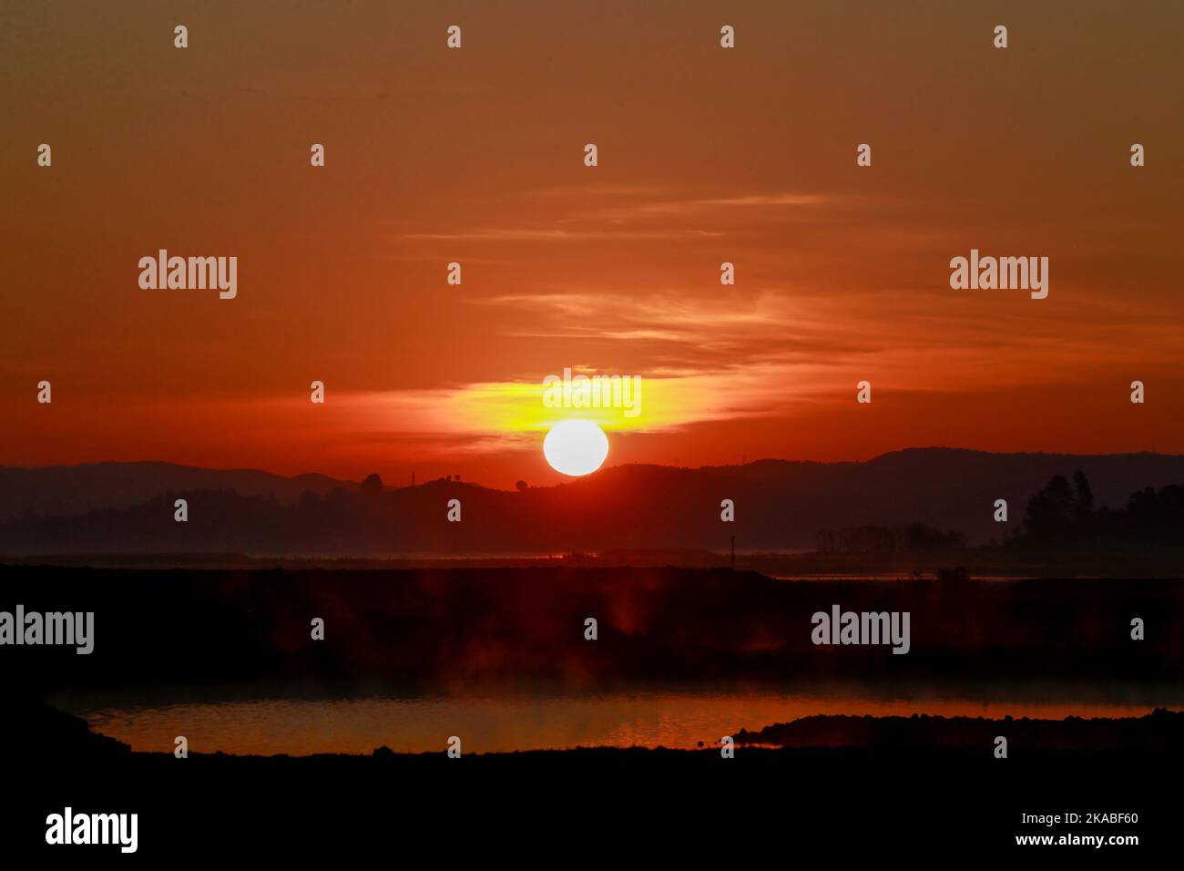 Black necked crane dance hi-res stock photography and images - Alamy