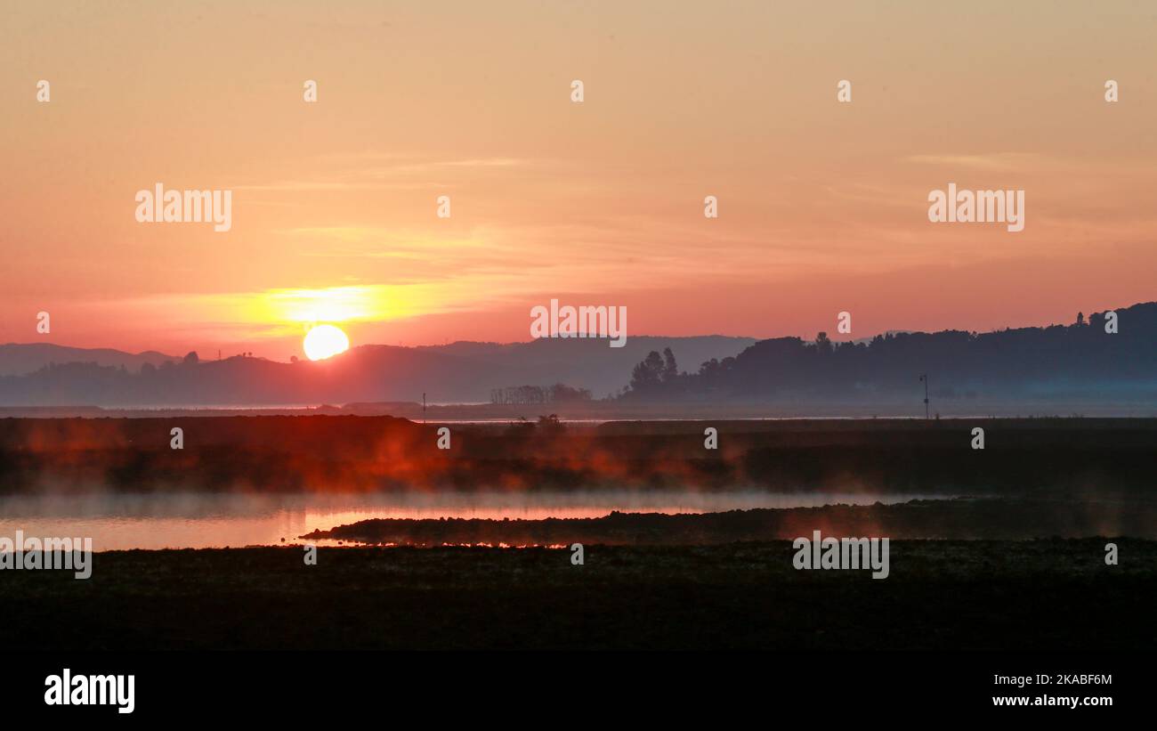 WEINING, CHINA - NOVEMBER 2, 2022 - Black-necked cranes swim, sing and ...