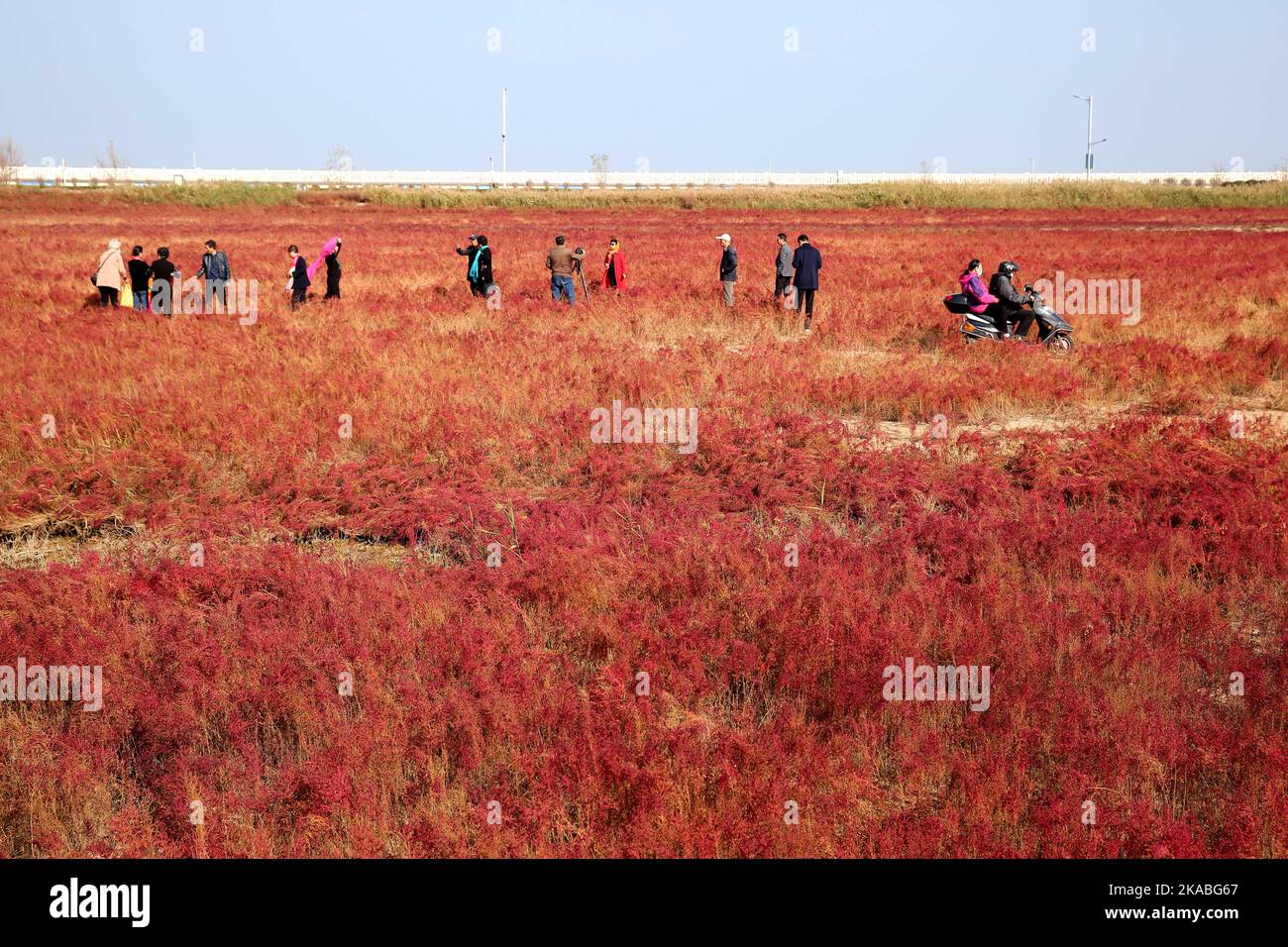 LIANYUNGANG, CHINA - NOVEMBER 2, 2022 - People play in a wetland ...