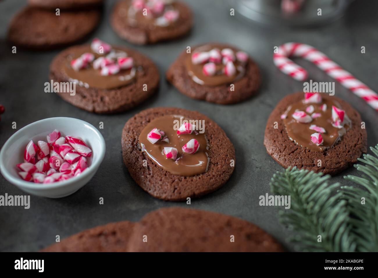 chocolate candy cane christmas cookies Stock Photo - Alamy