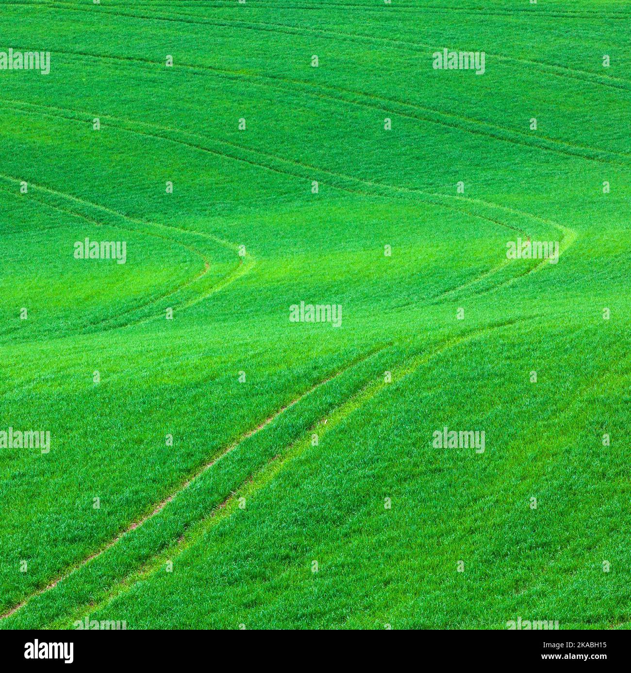Skid marks in grass hi-res stock photography and images - Alamy
