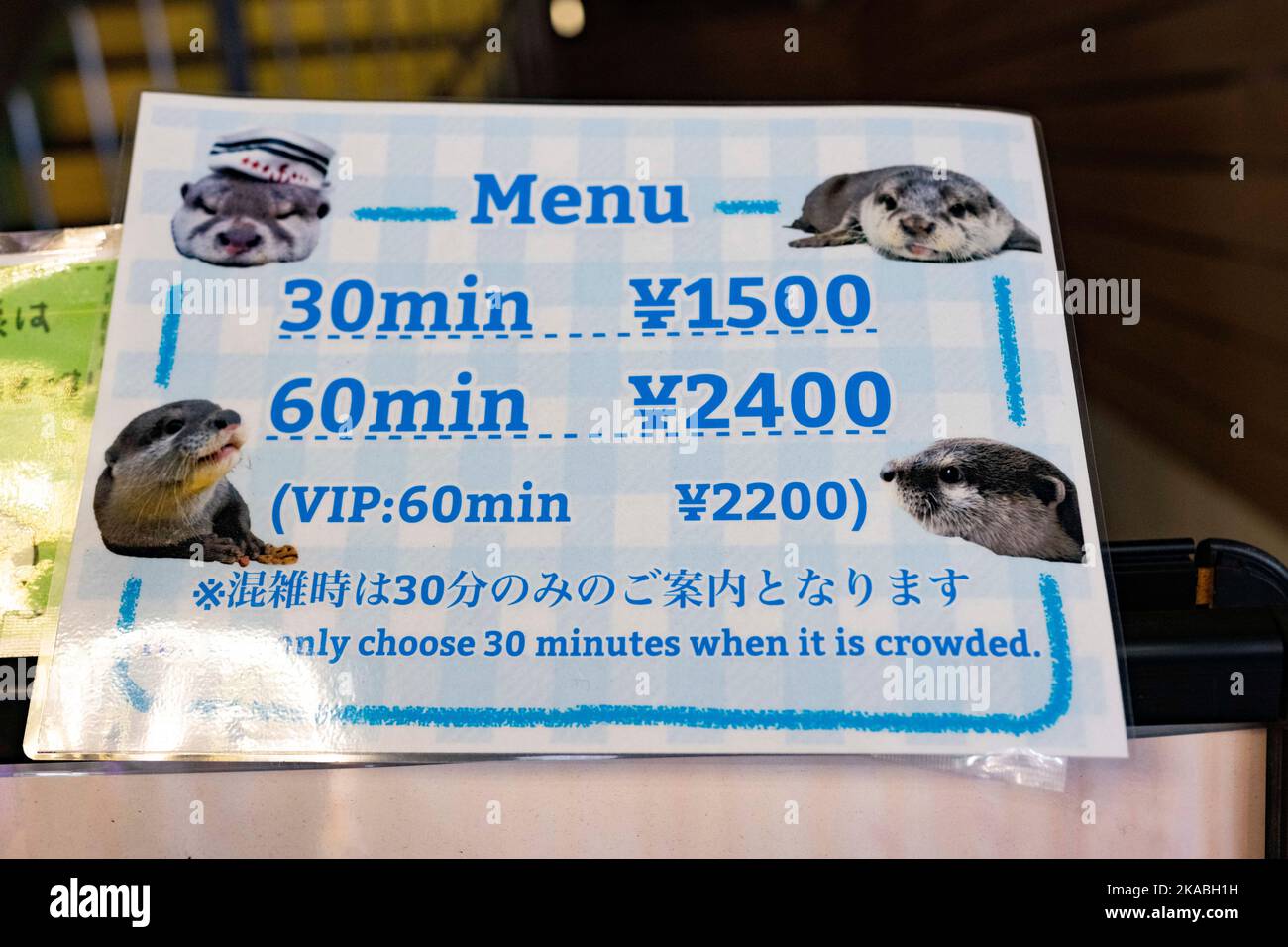 Tokyo, Japan. 1st Nov, 2022. An otter cafe on Takeshita Street (ç«¹ä¸‹é ...
