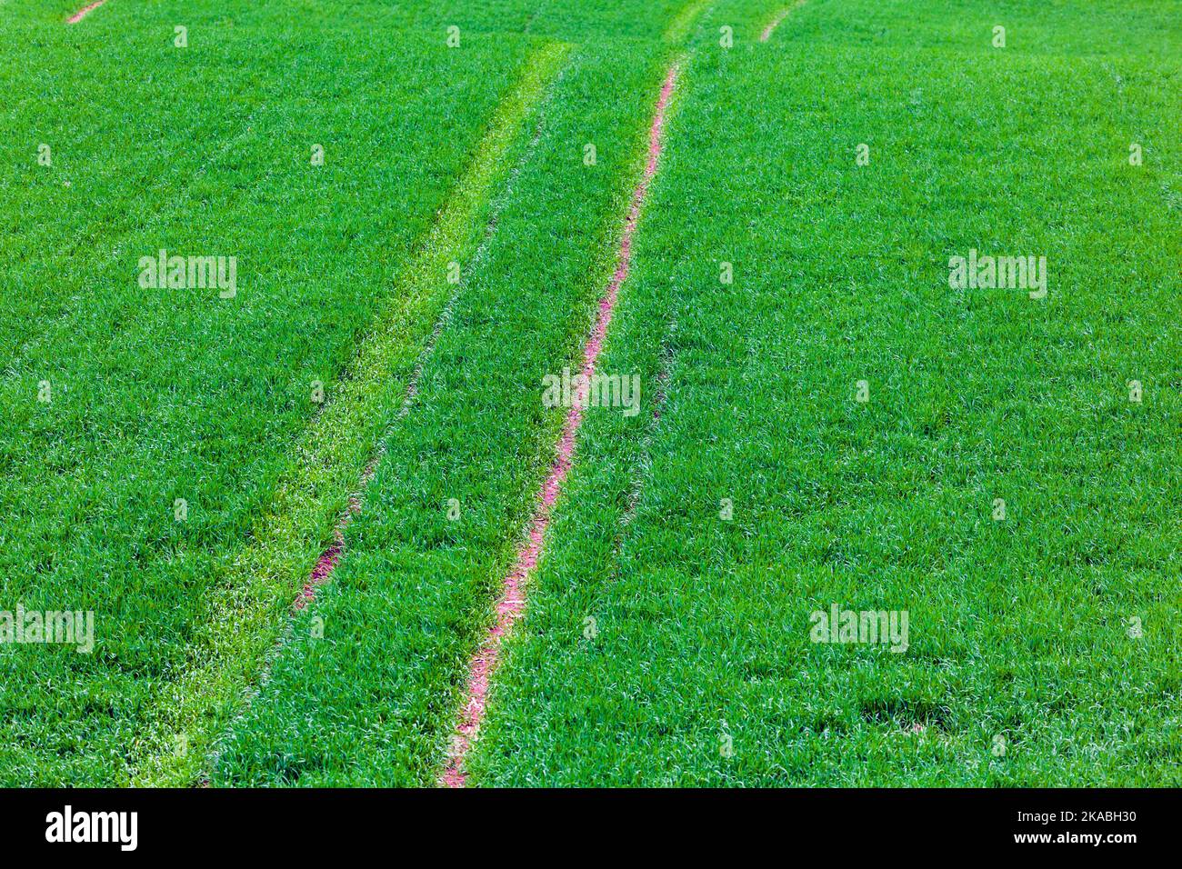 Skid marks in grass hi-res stock photography and images - Alamy