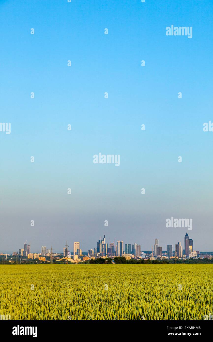 German fields frankfurt skyline hi-res stock photography and images - Alamy
