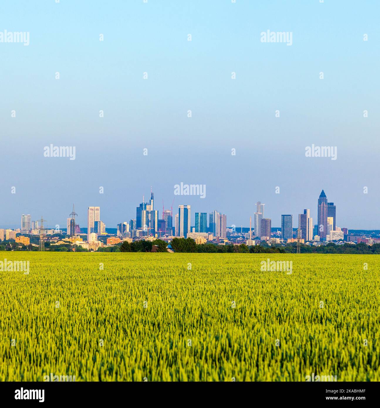 German fields frankfurt skyline hi-res stock photography and images - Alamy