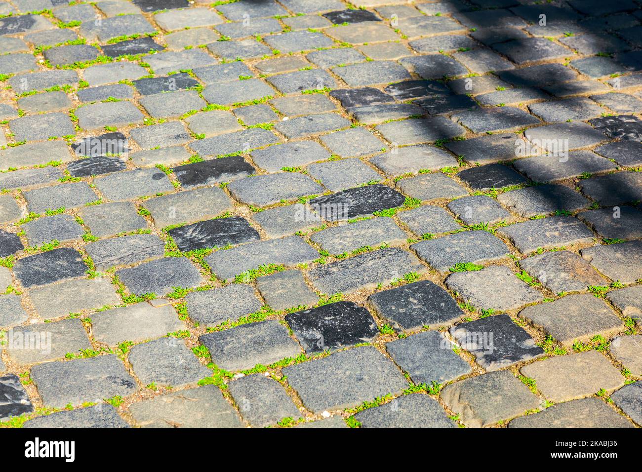 Harmonic architecture hi-res stock photography and images - Alamy