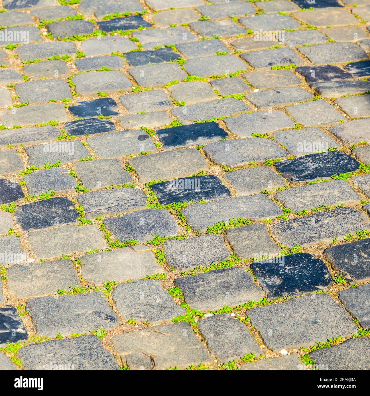 Harmonic architecture hi-res stock photography and images - Alamy