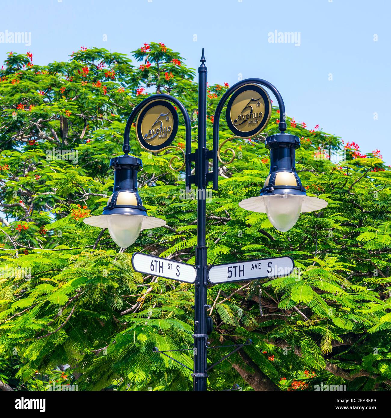 historical street sign 5th avenue in Naples, Florida under blue sky ...