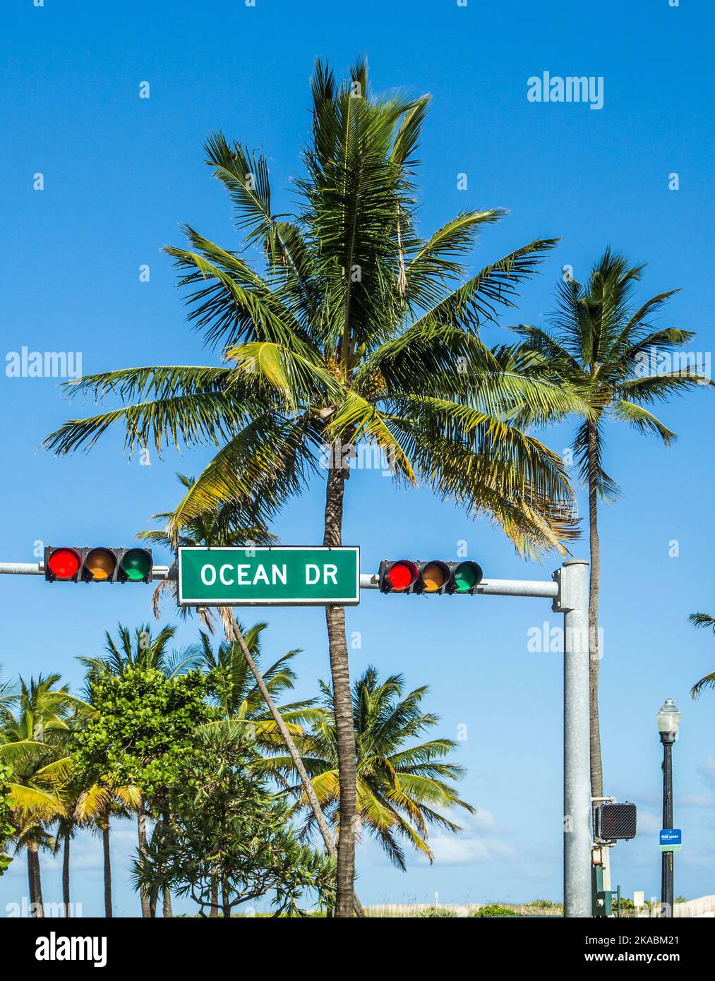 Beach sign palms in sunny hi-res stock photography and images - Alamy
