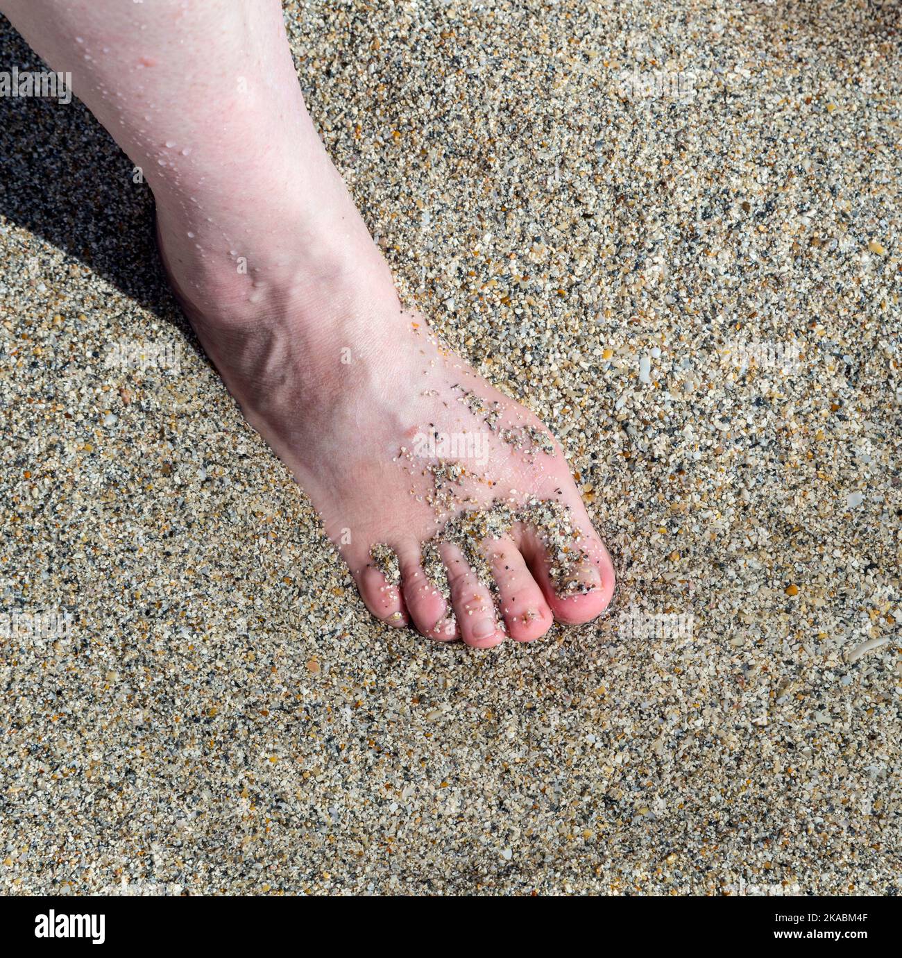 pale female foot at the sandy beach Stock Photo - Alamy