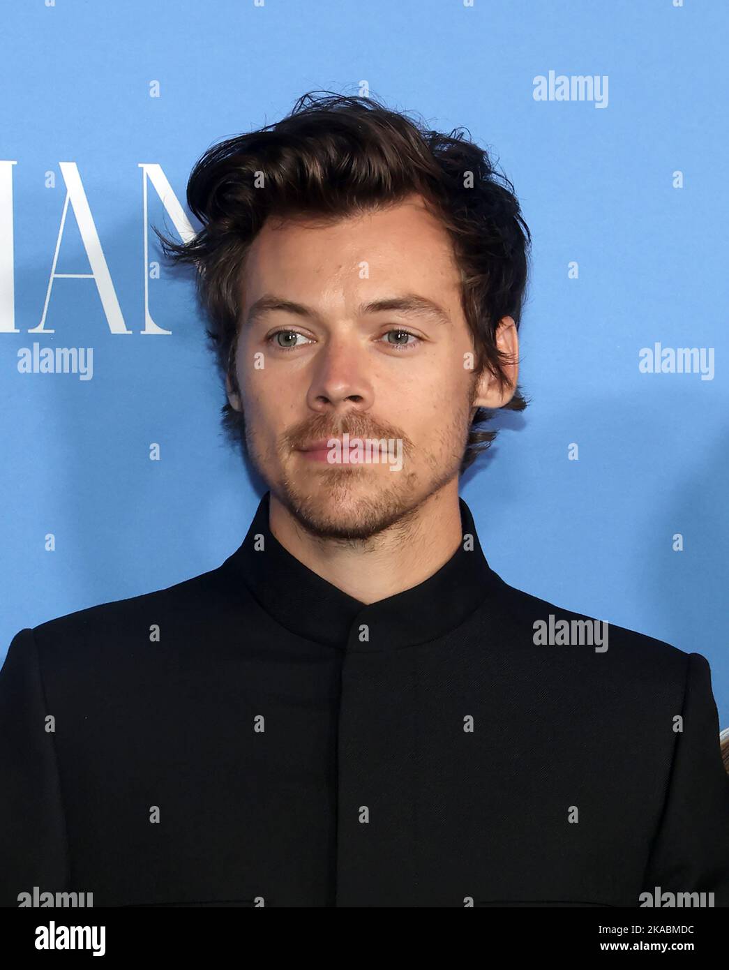 Los Angeles, California - 1 November 2022 - Harry Styles. Los Angeles ...
