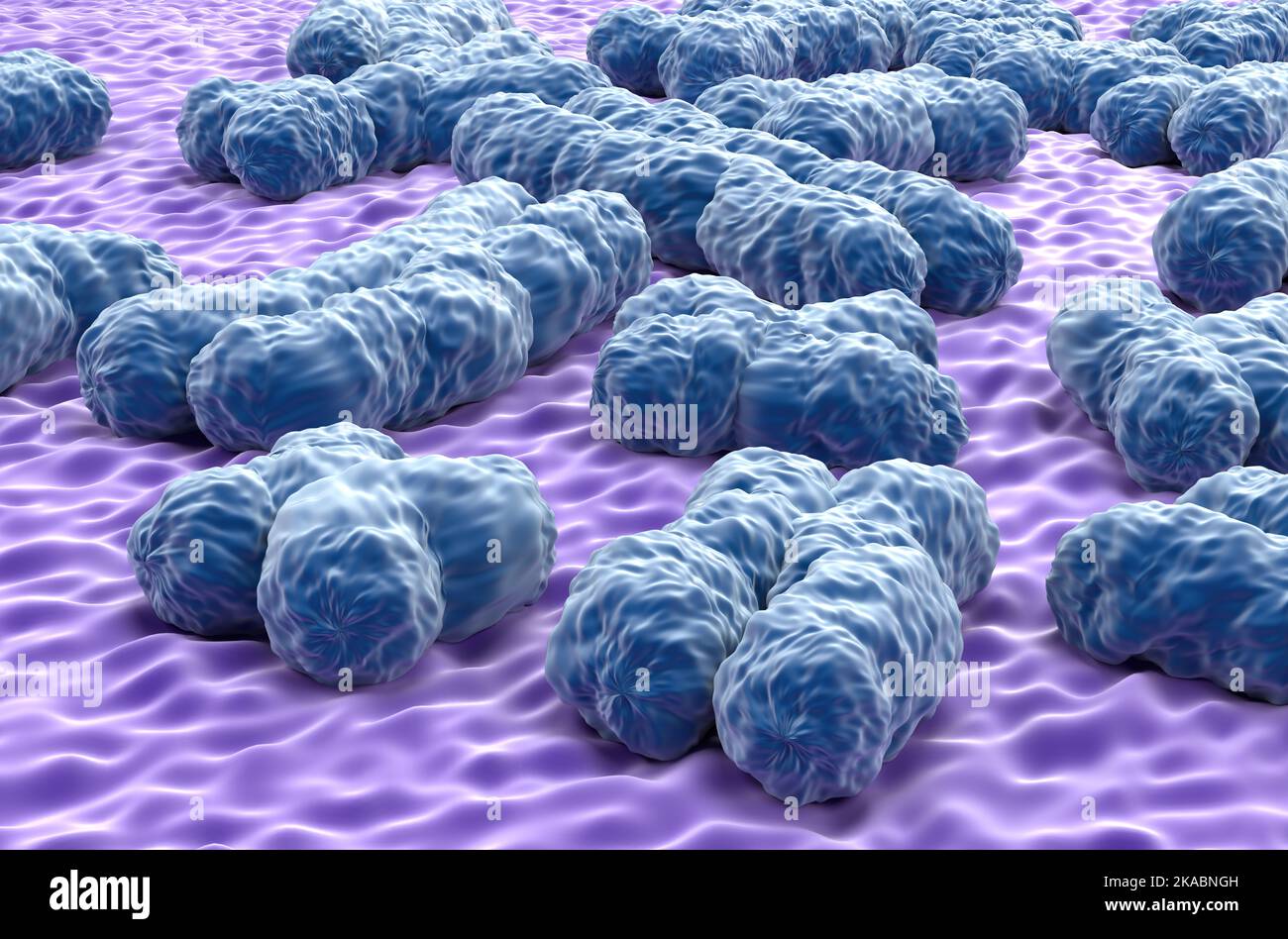 Human chromosomes (23 + X, Y) structures made of protein and a single ...