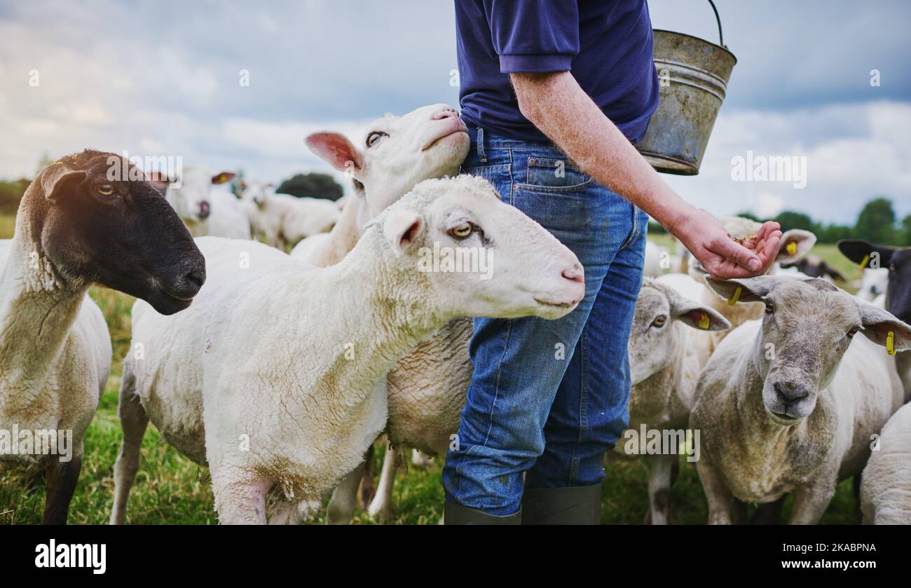 Food industry worker hi-res stock photography and images - Alamy