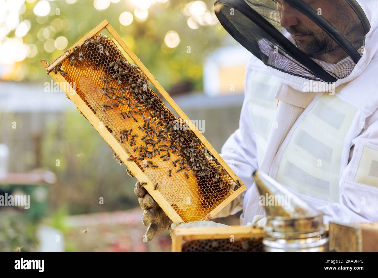 Beehive logo hi-res stock photography and images - Alamy