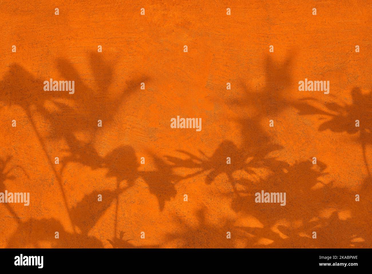 Shadow of flowers on orange concrete wall texture background Stock ...