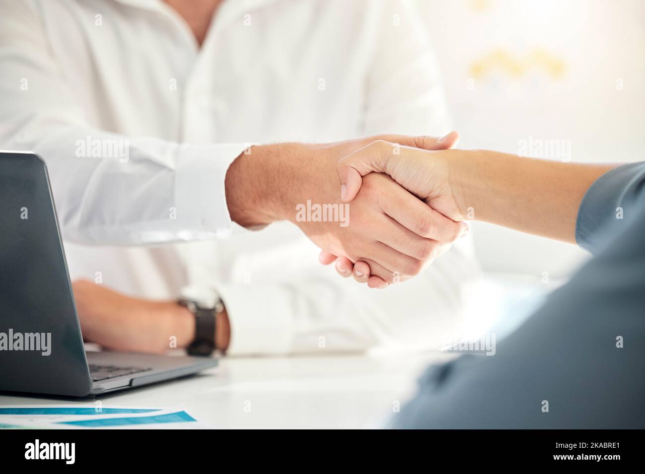 Business handshake, people meeting in office interview with human ...