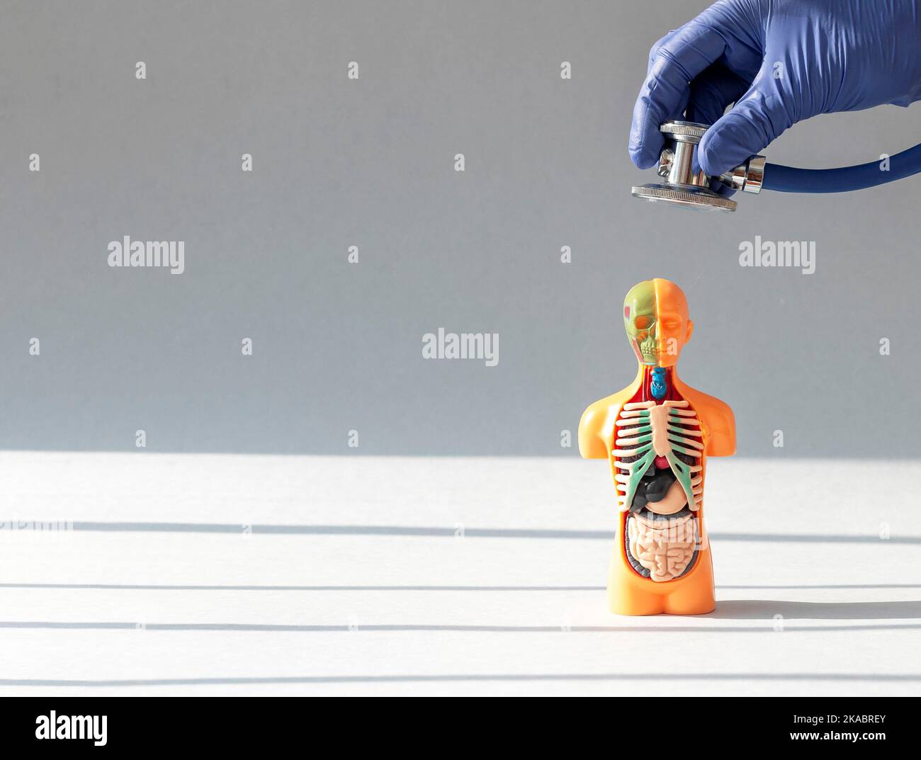 Doctor hand close up listening with stethoscope skinless human body ...