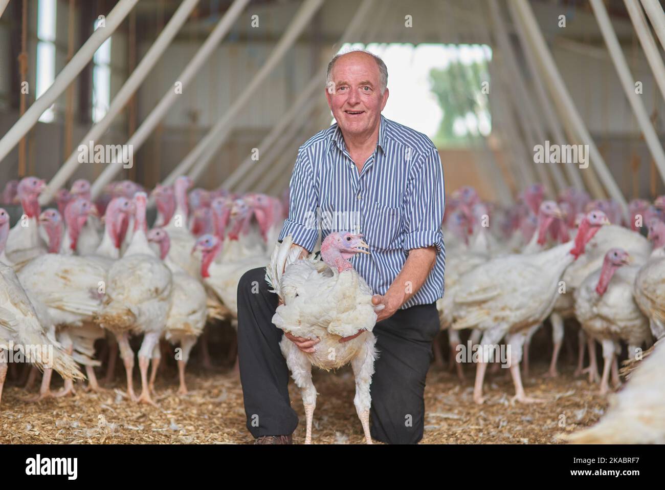Heres your thanksgiving present. Portrait of a cheerful mature farmer ...