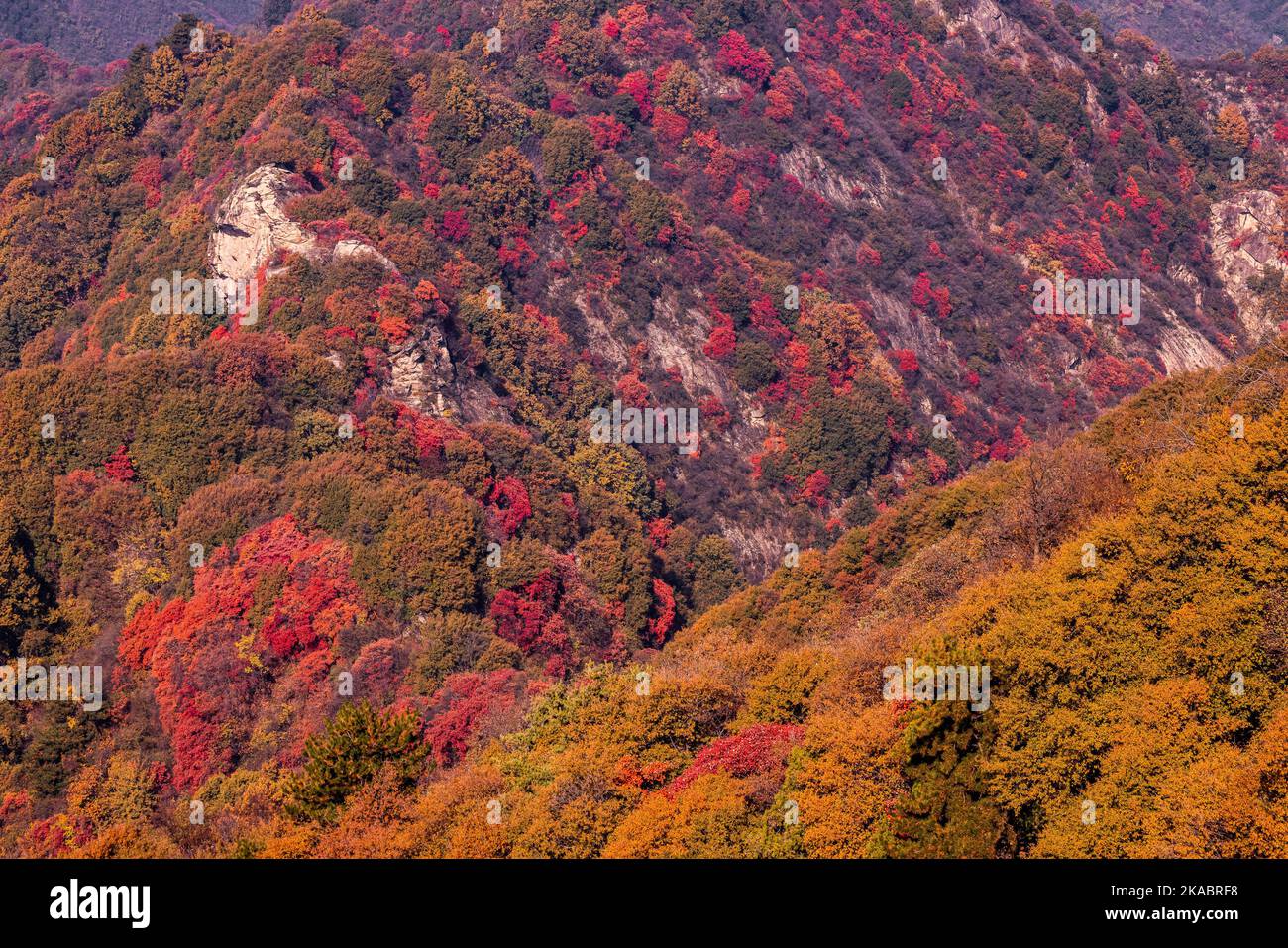 Colorful late autumn views in Zhongnan Mountain, Qinling, Xi'an City ...