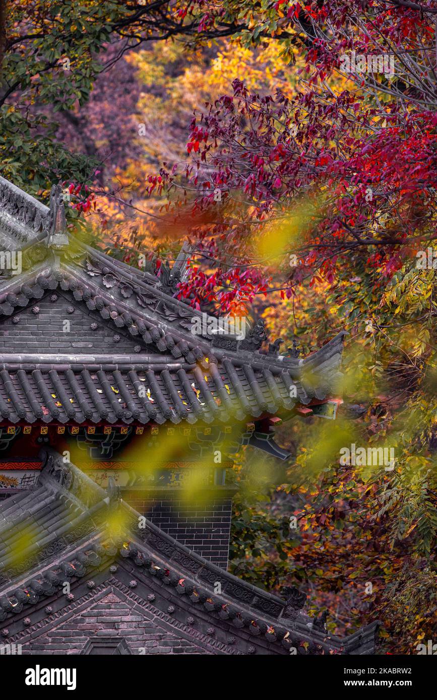Colorful late autumn views in Zhongnan Mountain, Qinling, Xi'an City ...