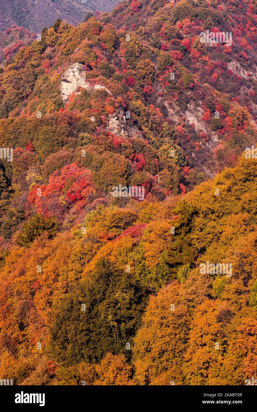 Qinling Mountains China