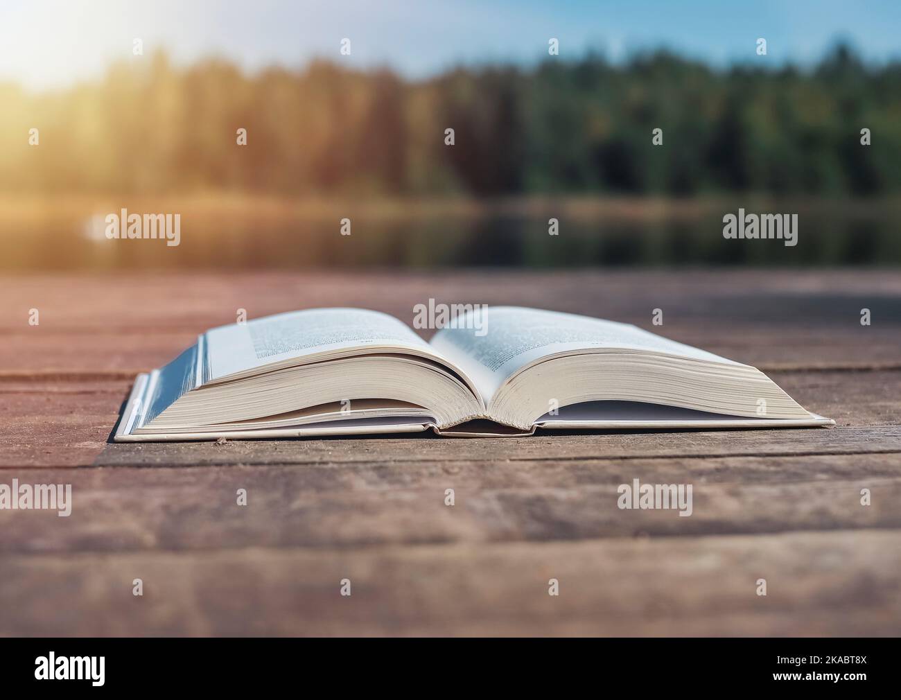 Open book on wood table in nature. Summer reading concept Stock Photo ...