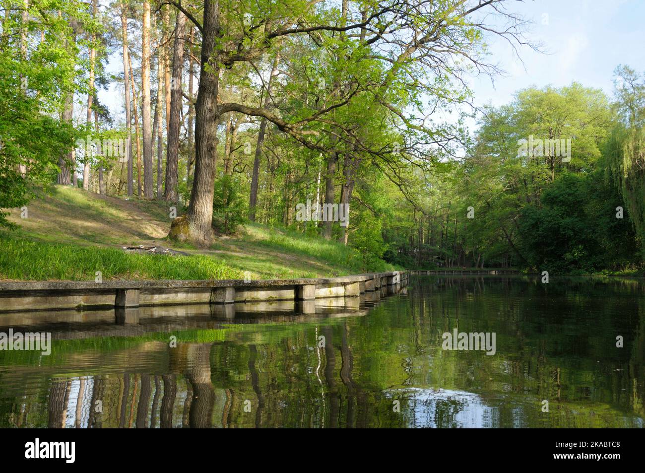 View of the pond, old concrete pier, trees and bushes. Pushcha Vodytsia ...
