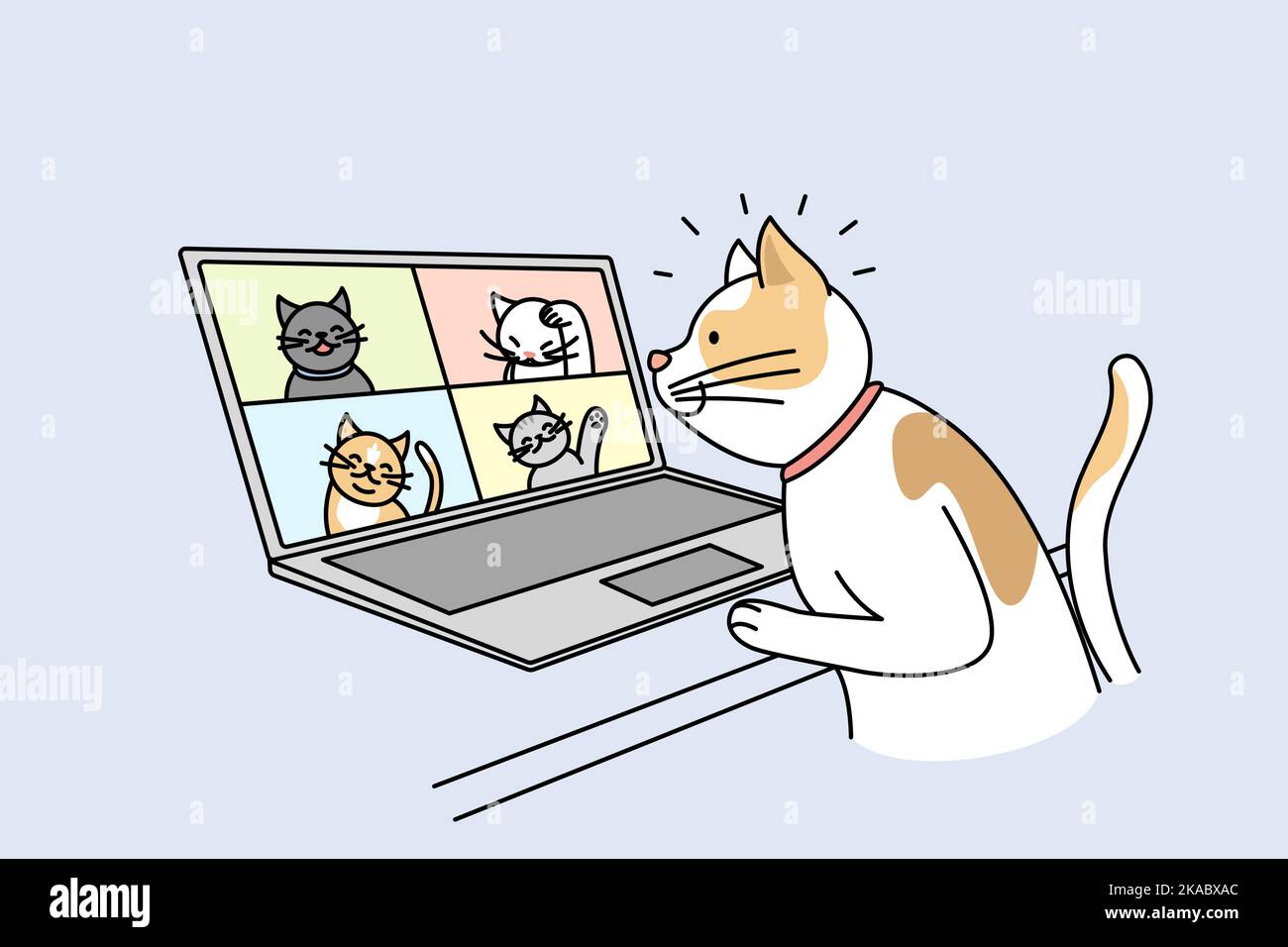 Cute cat talk on video call with cats on computer. Pet have webcam ...