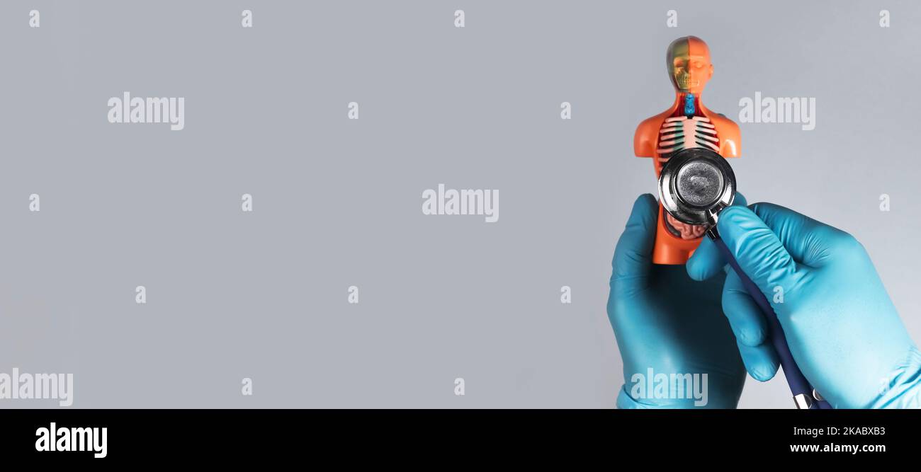 Listening with stethoscope skinless human 3d body model with copy space ...