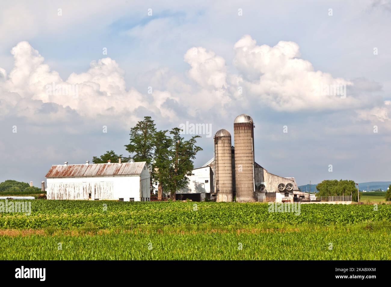 farm house with field and silo in beautiful landscape Stock Photo - Alamy