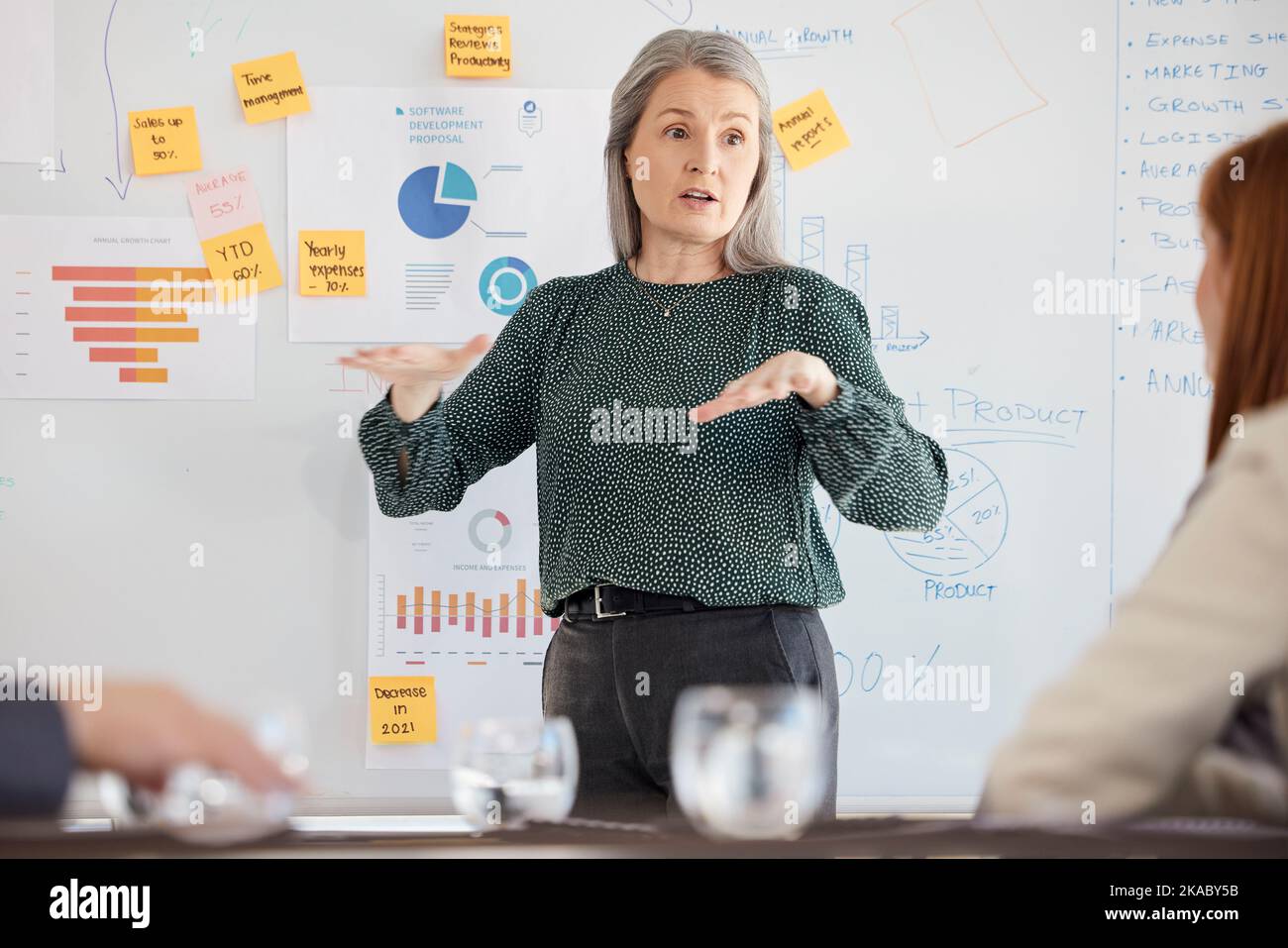 Senior speaker, business woman and corporate meeting planning a ...