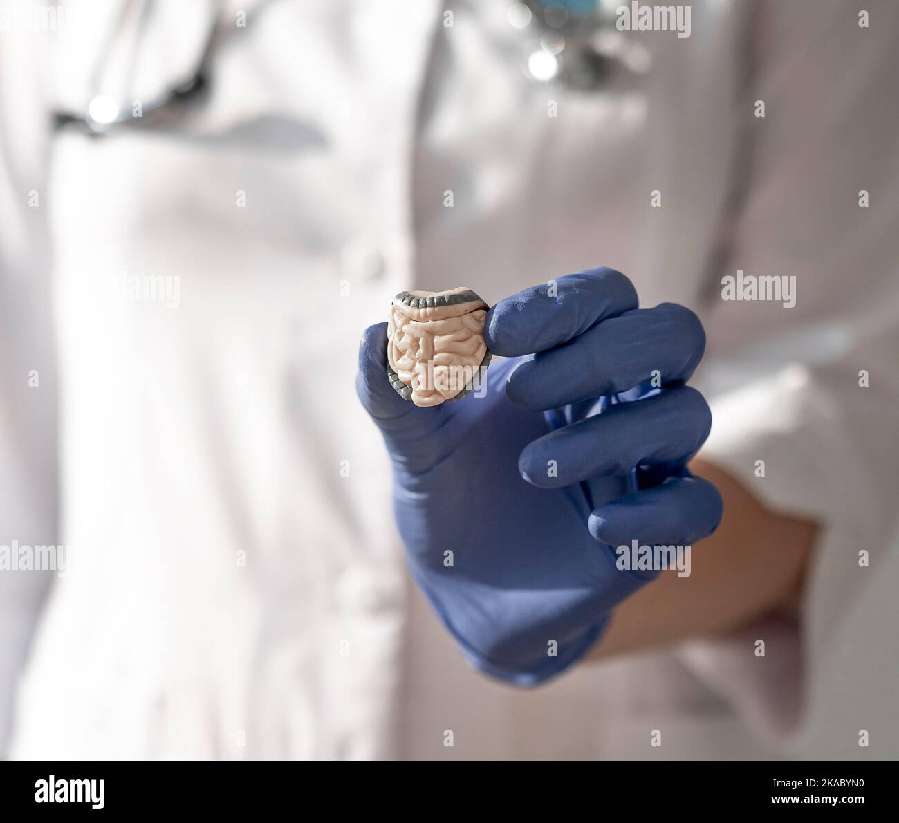 Doctor hand holding intestine 3d model. Concept of digestive disease ...